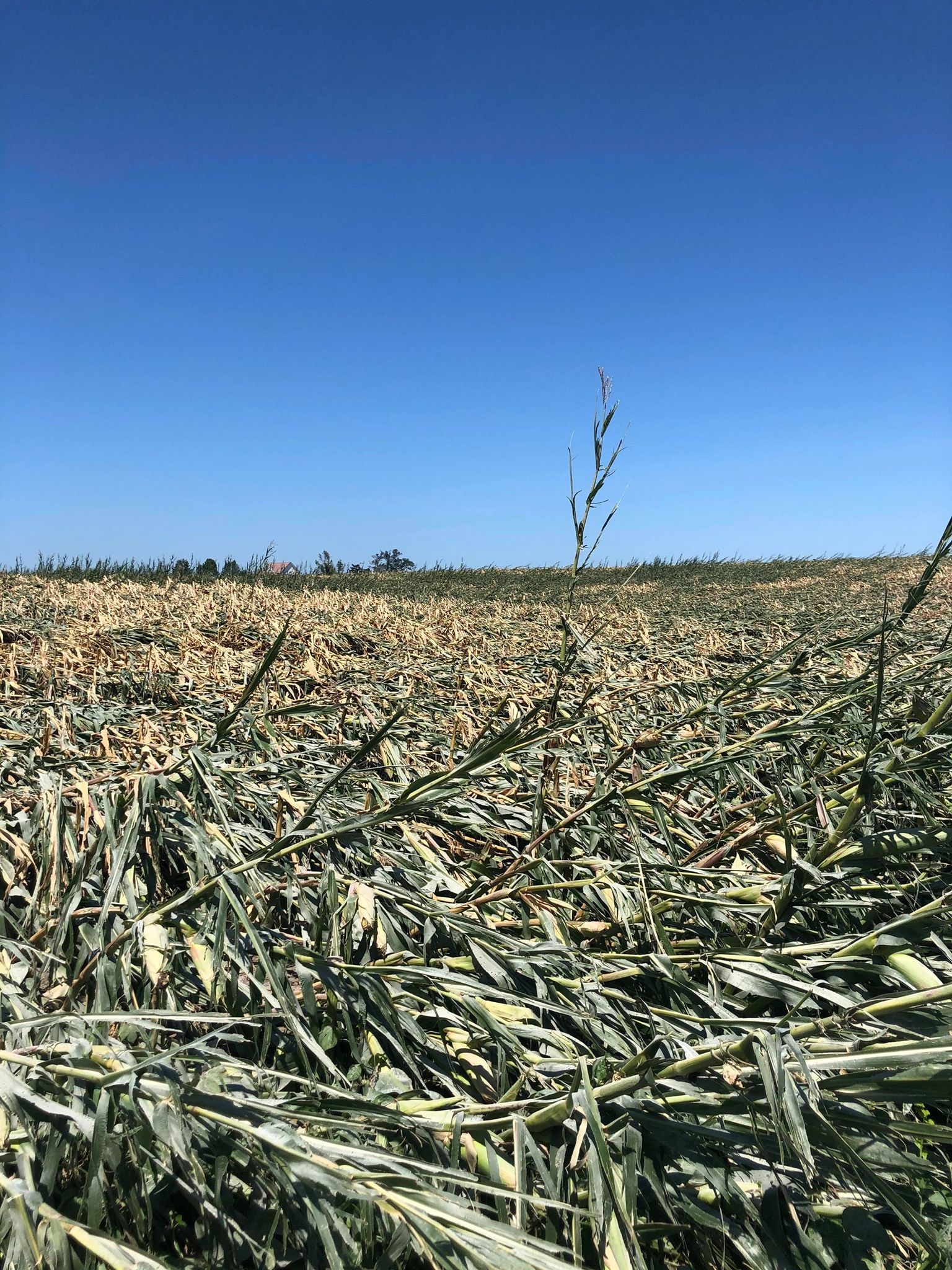 Help Iowa Farmers Devastated by the Derecho – Donation List – Buzzard's ...
